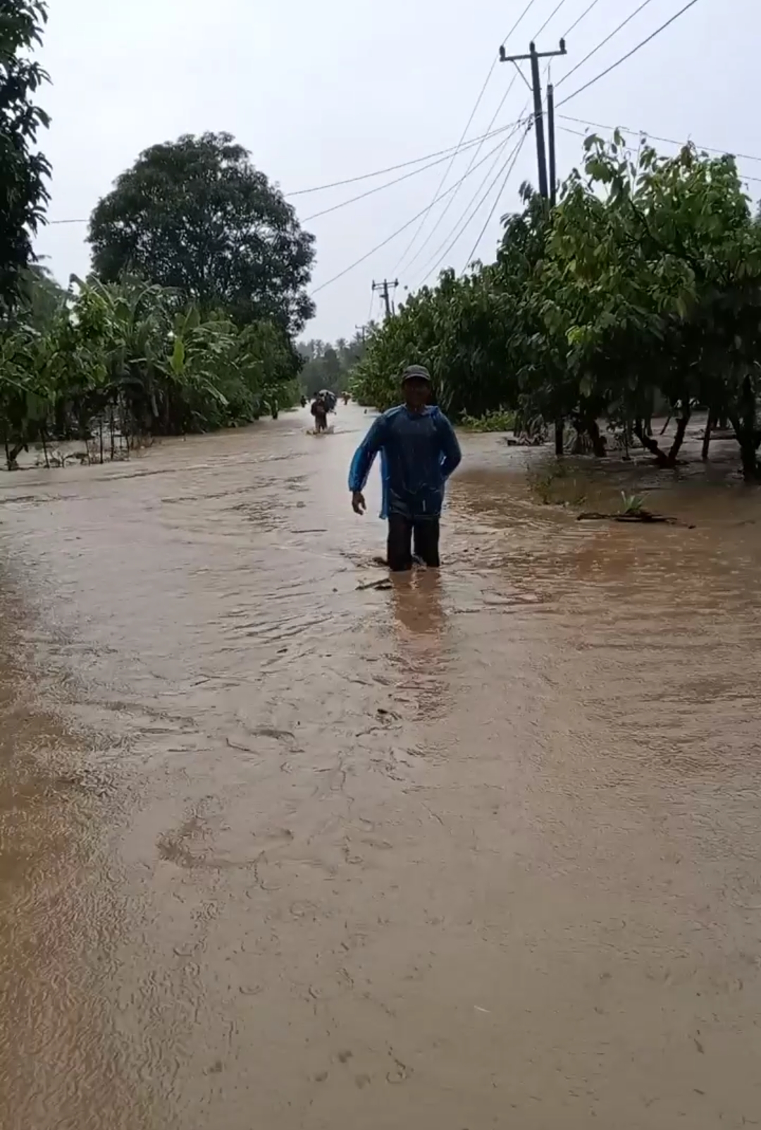 Bencana Banjir Terjang Tanggamus, Luapan Way Semaka Dan Way Banding ...
