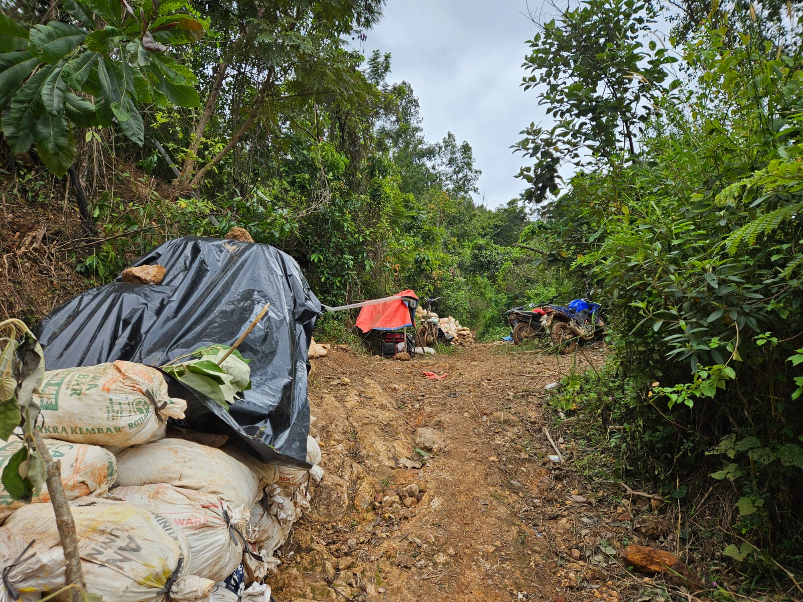 Tambang Emas Ilegal di Way Kanan Masih Marak, Walhi: Bukti Polri-Pemda ...
